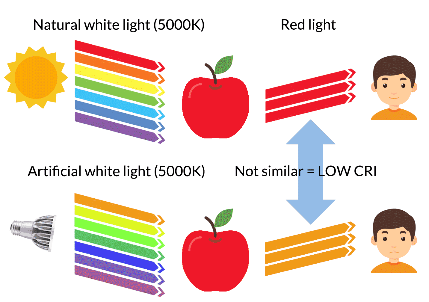 What is CRI? Everything You Need To Know - LEDYi Lighting
