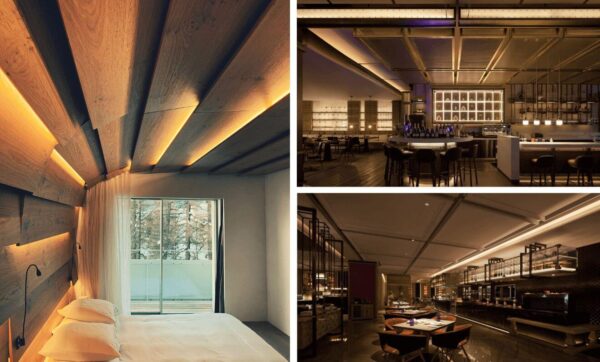 COB LED Strip – Uniform, High-Brightness & Flexible Lighting | LEDYi