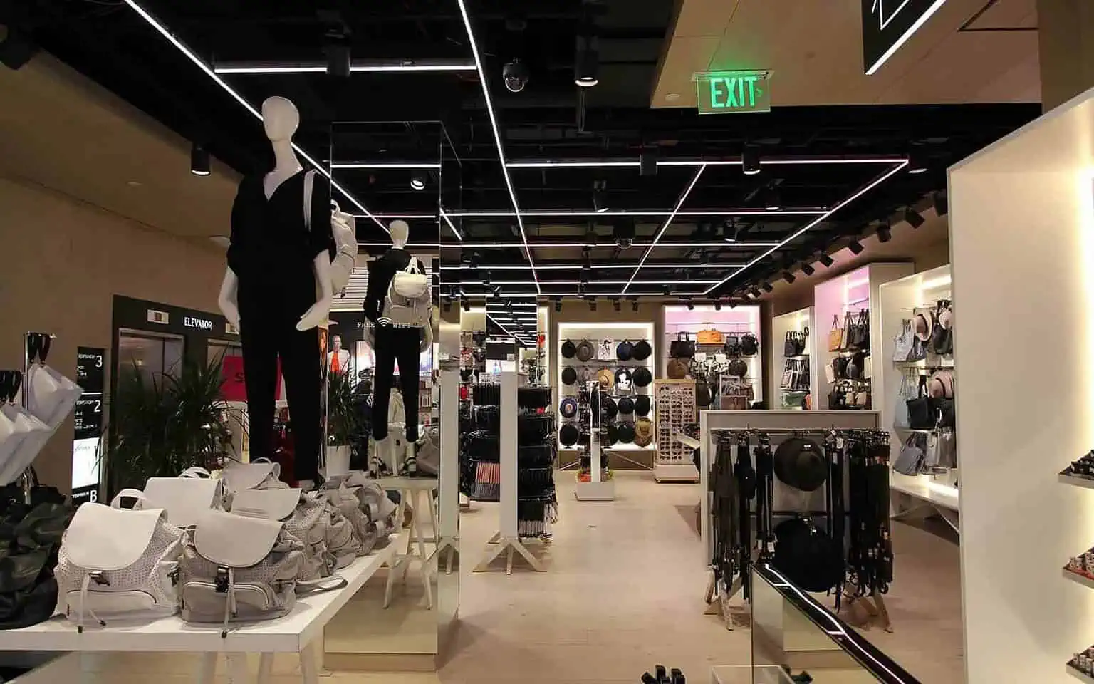 LED Neon Flex – Flexible & Efficient Linear Lighting | LEDYi