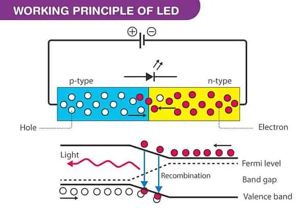 A Comprehensive Guide to Light-Emitting Diodes (LEDs) - LEDYi Lighting