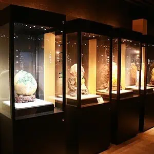 A Definitive Guide To Museum Lighting - LEDYi Lighting